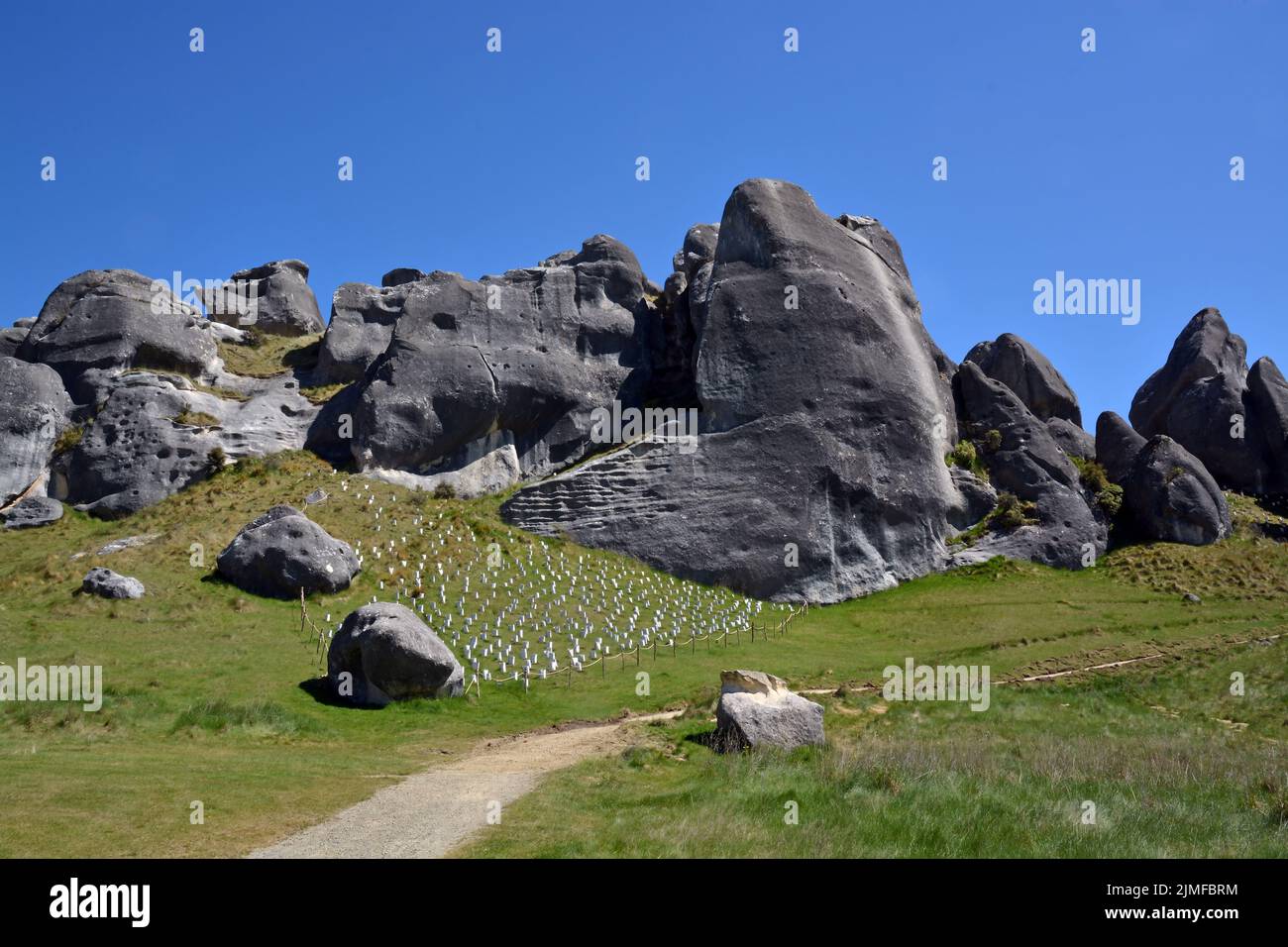 Castle Hill Rocks in North Canterbury, New Zealand in Spring Stock ...