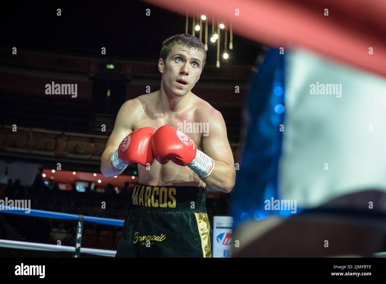 Vip professional boxing hi-res stock photography and images - Alamy