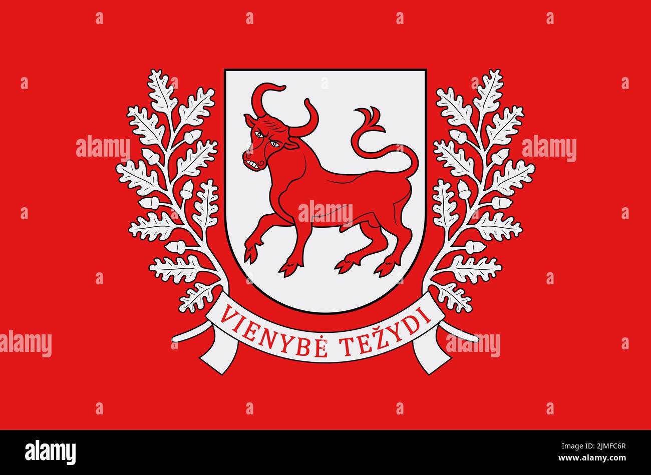 Top view of flag Suvalkija lithuania. Lithuanian travel and patriot ...