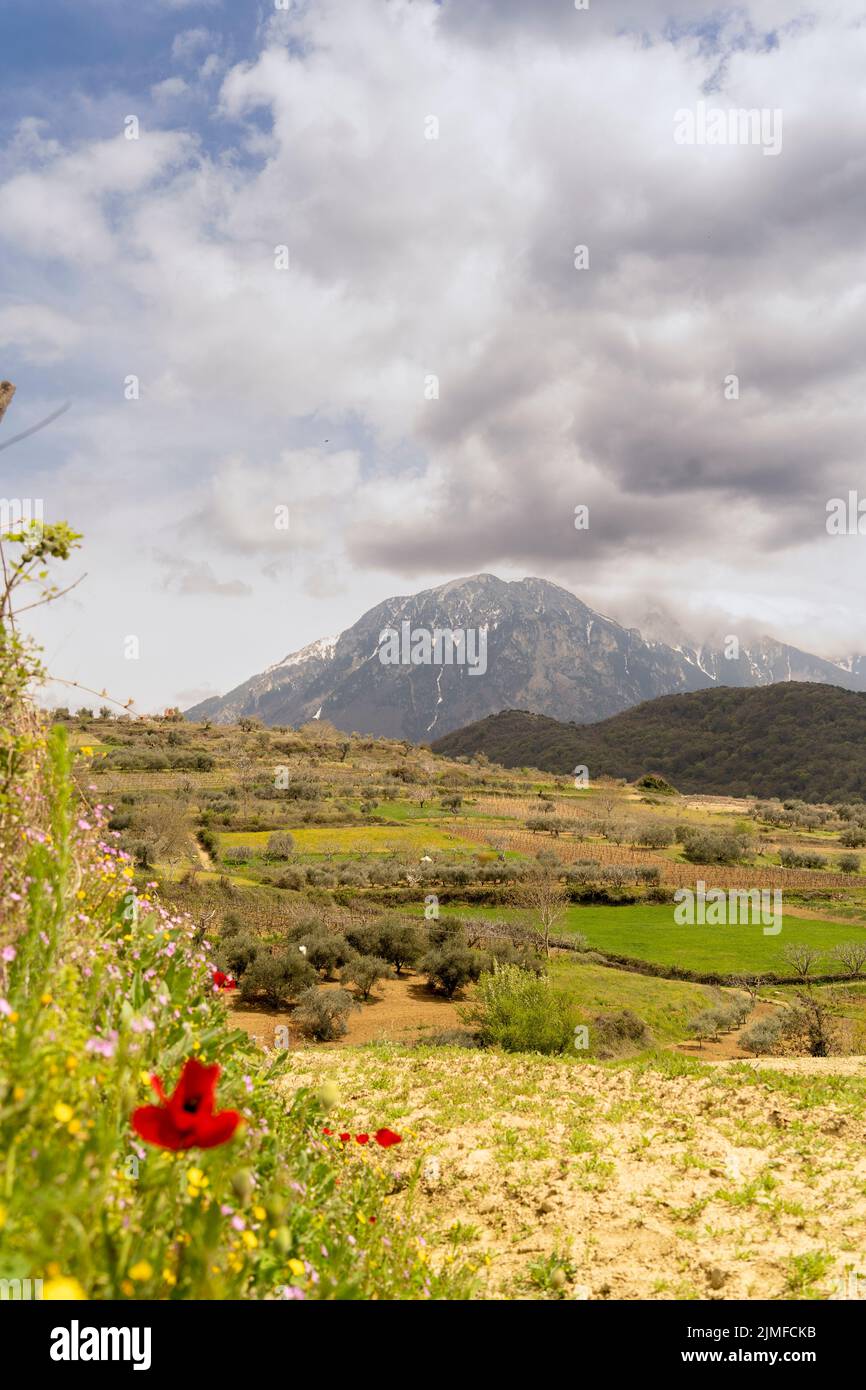 Albania, Farmer near Tomorri mountain, Roshnik Stock Photo - Alamy