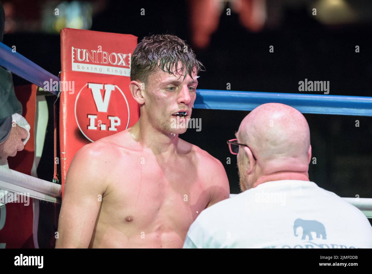 Vip professional boxing hi-res stock photography and images - Alamy