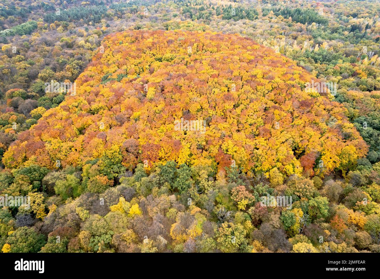 Aerial view of beautiful autumn at forest Stock Photo - Alamy
