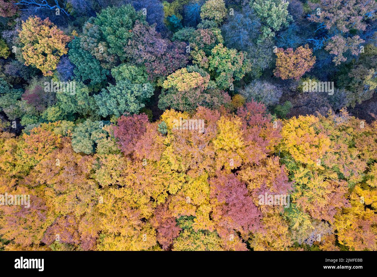 Beautiful view from autumn treetops hi-res stock photography and images - Alamy
