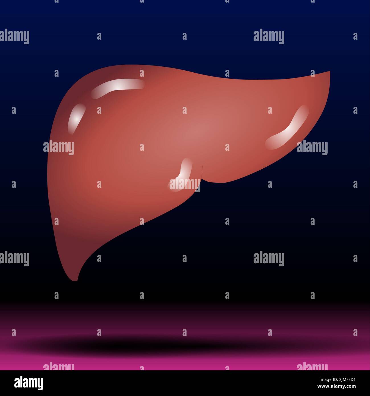 Liver damage hi-res stock photography and images - Alamy