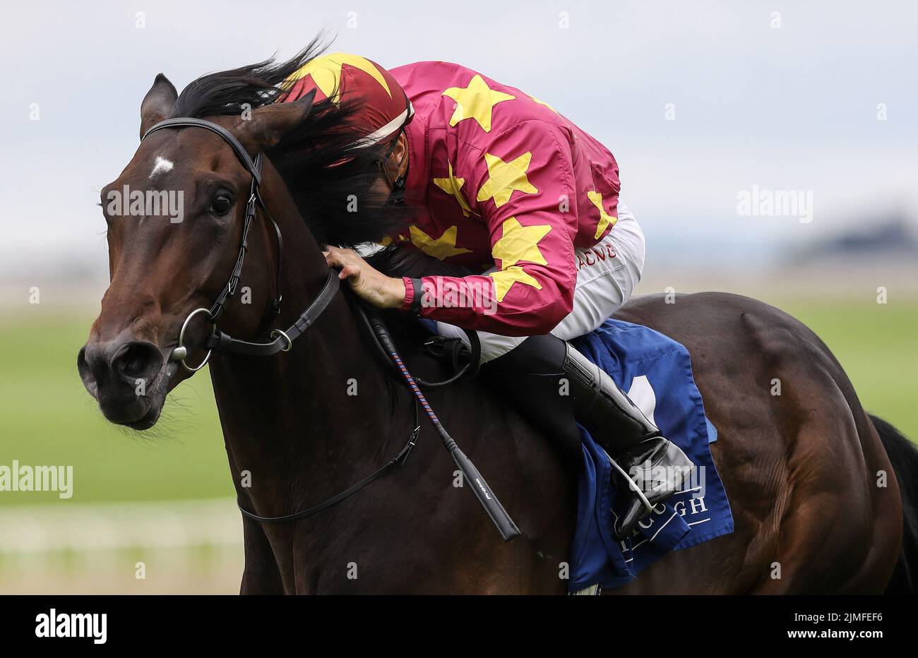 Al riffa horse hi-res stock photography and images - Alamy