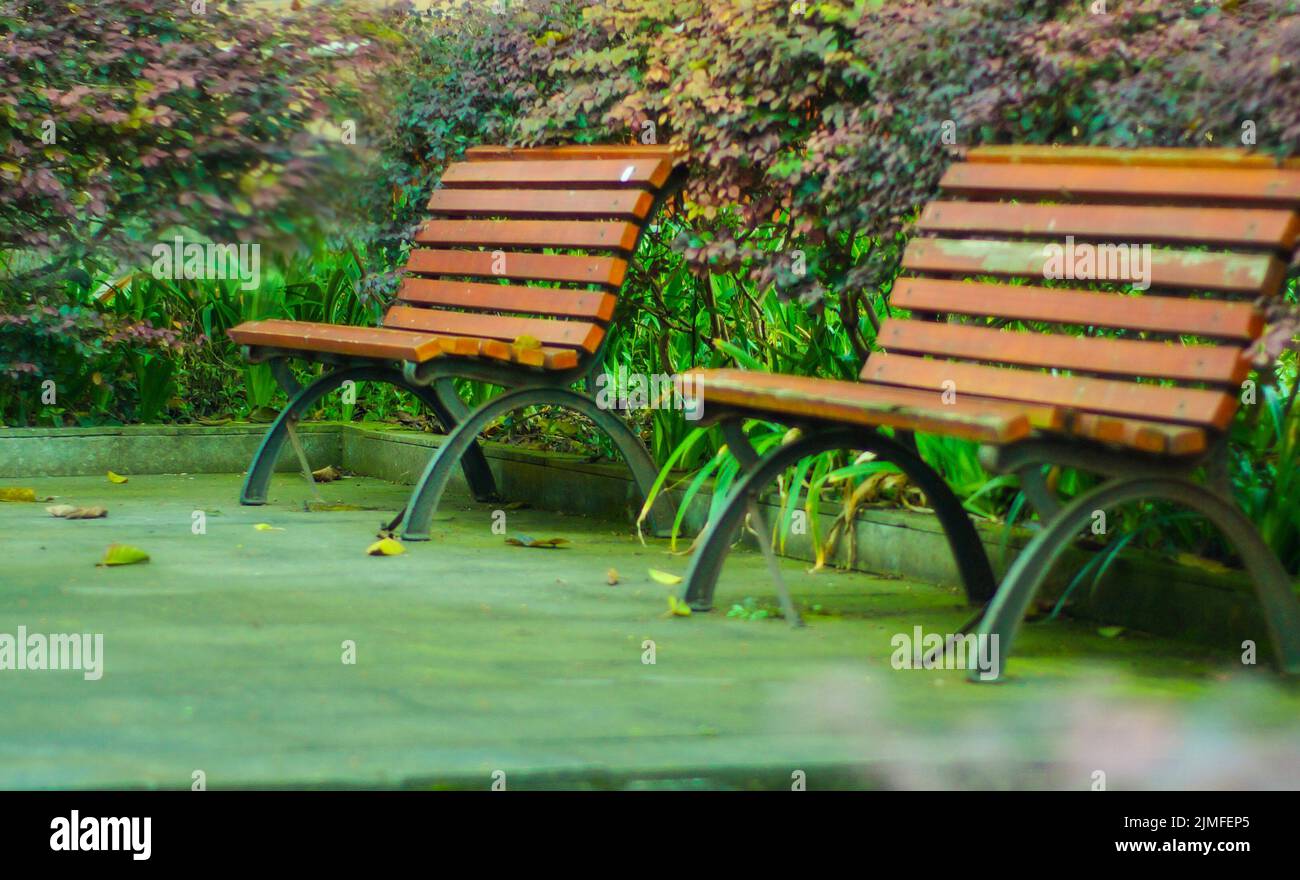Two benches trees in hi-res stock photography and images - Alamy