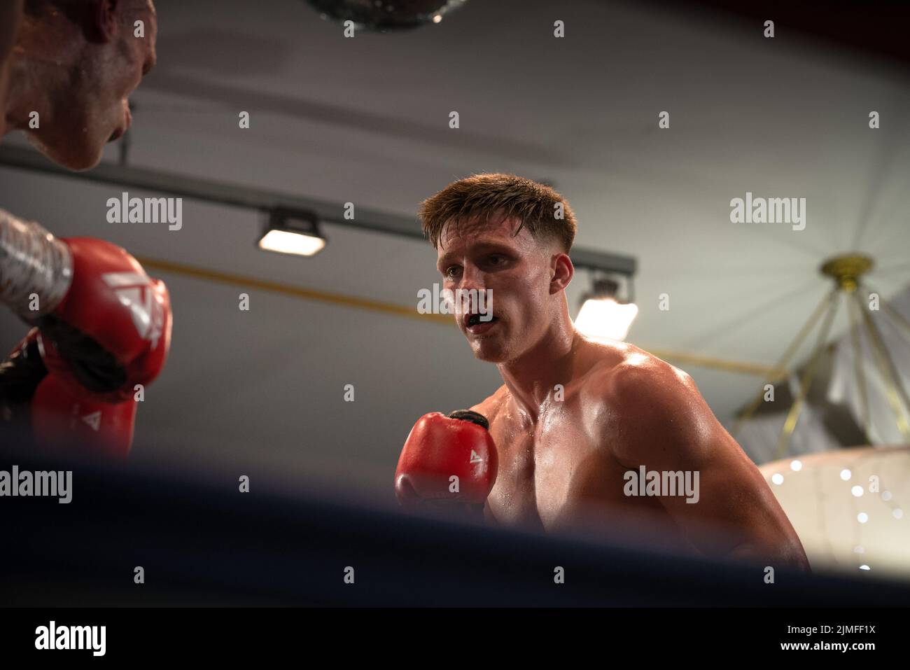 Professional boxing at devonshire house hotel hi-res stock photography ...