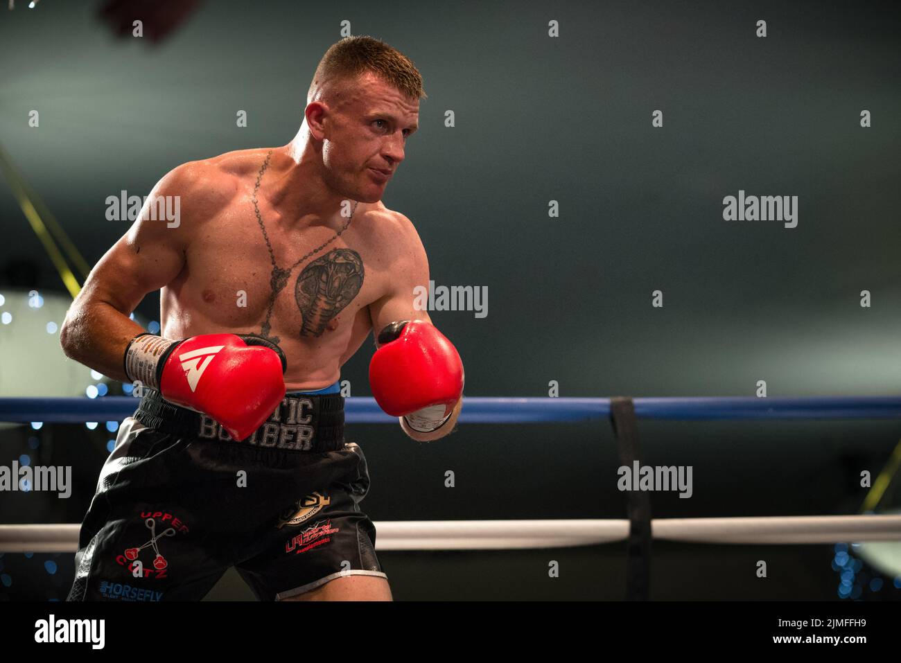 Golden gloves liverpool hi-res stock photography and images - Alamy