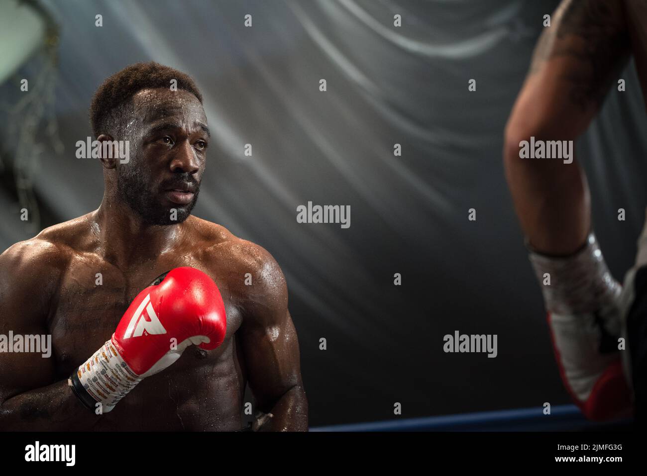 Devonshire house hotel boxing hi-res stock photography and images - Alamy