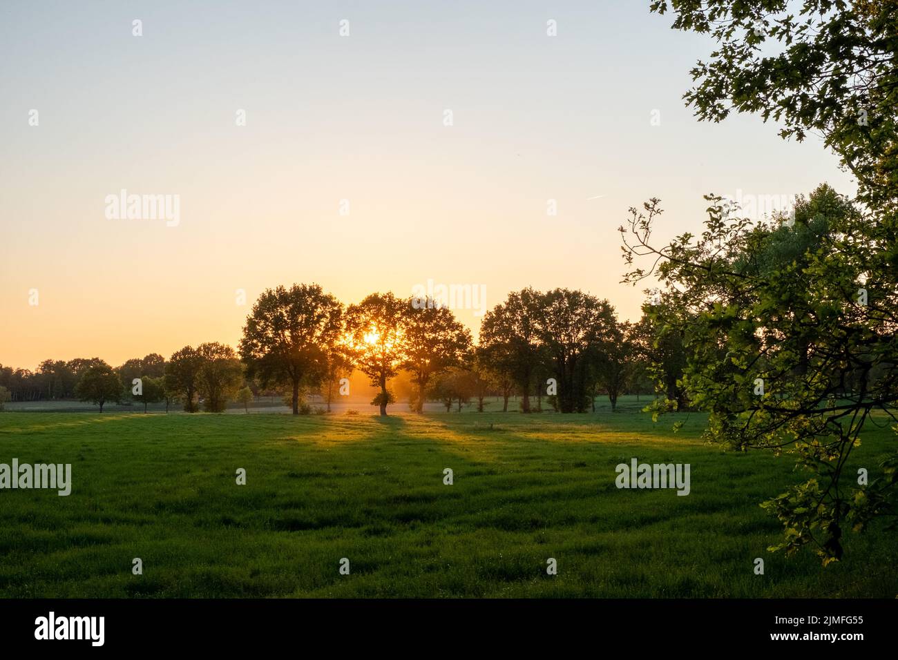 Sky garden sunset view hi-res stock photography and images - Alamy