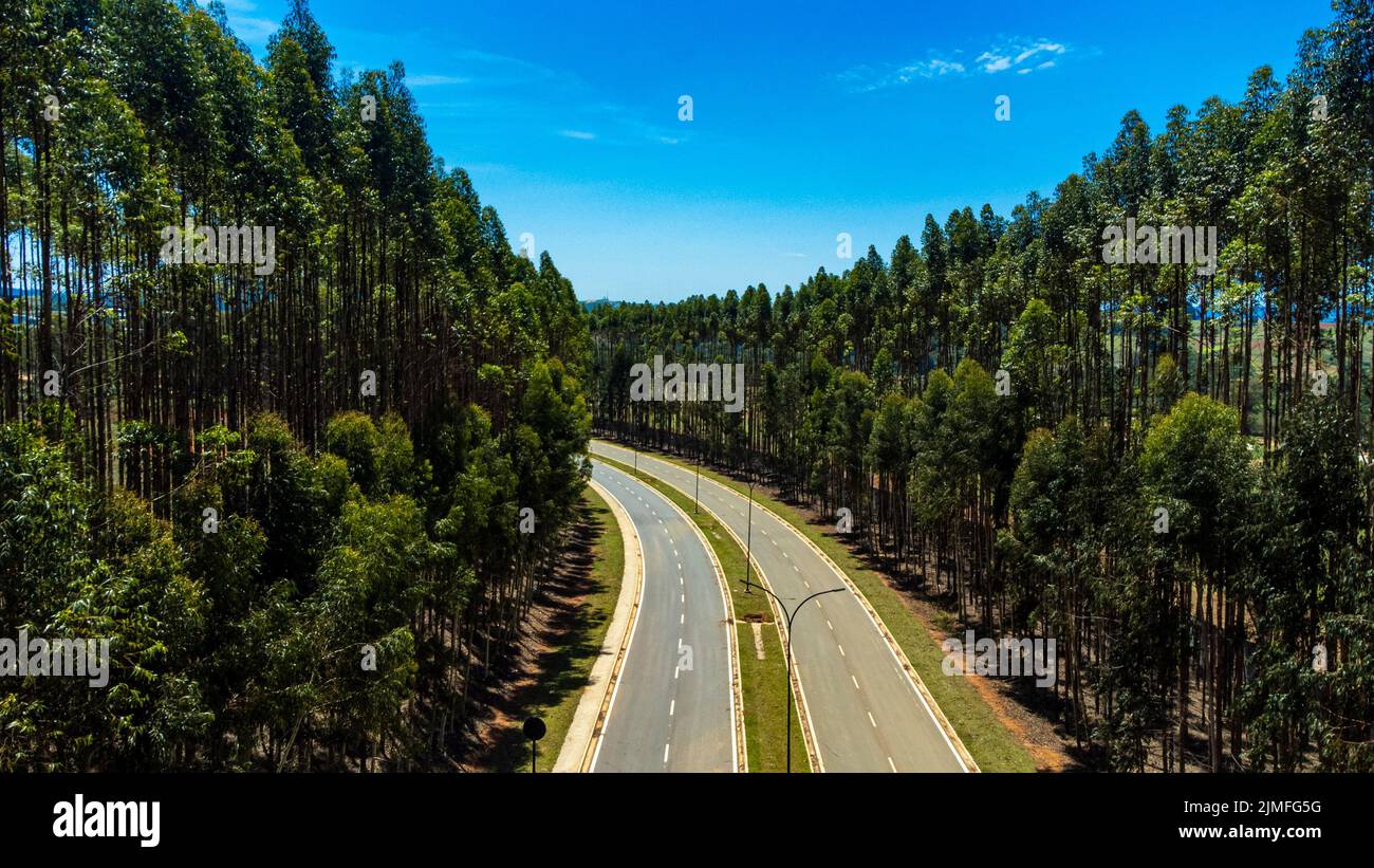 A beautiful view of a road surrounded by tall green trees Stock Photo ...
