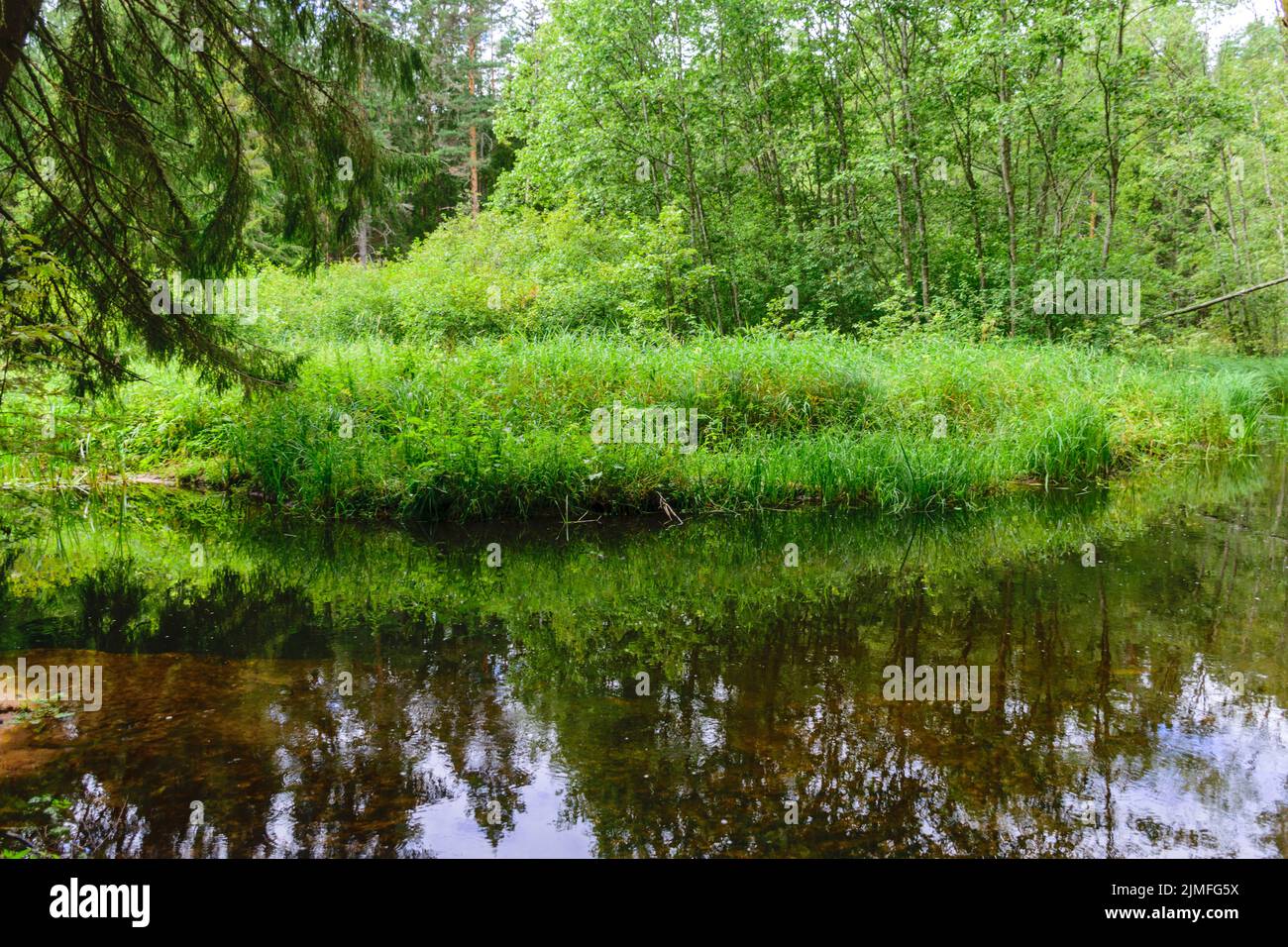 summer landscape with sandstone rock outcrop on the bank of a small ...