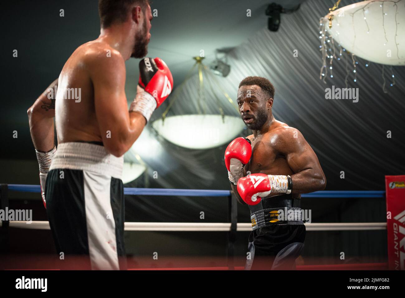 Black Flash Promotions boxing show at Devonshire House Hotel, Liverpool ...