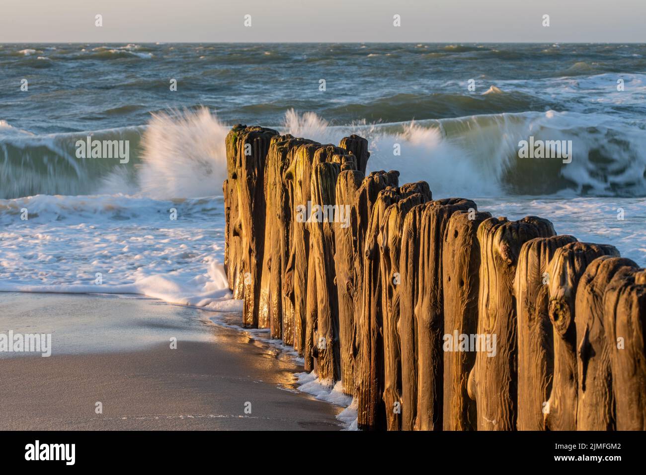 Piles of groyne hi-res stock photography and images - Alamy