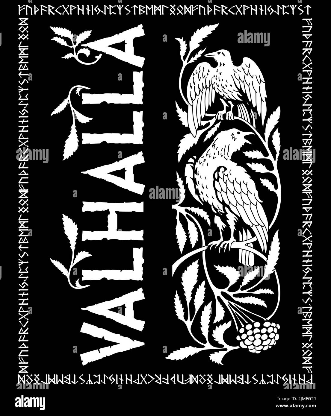 Two black crows and branches of mountain ash, an illustration of ...