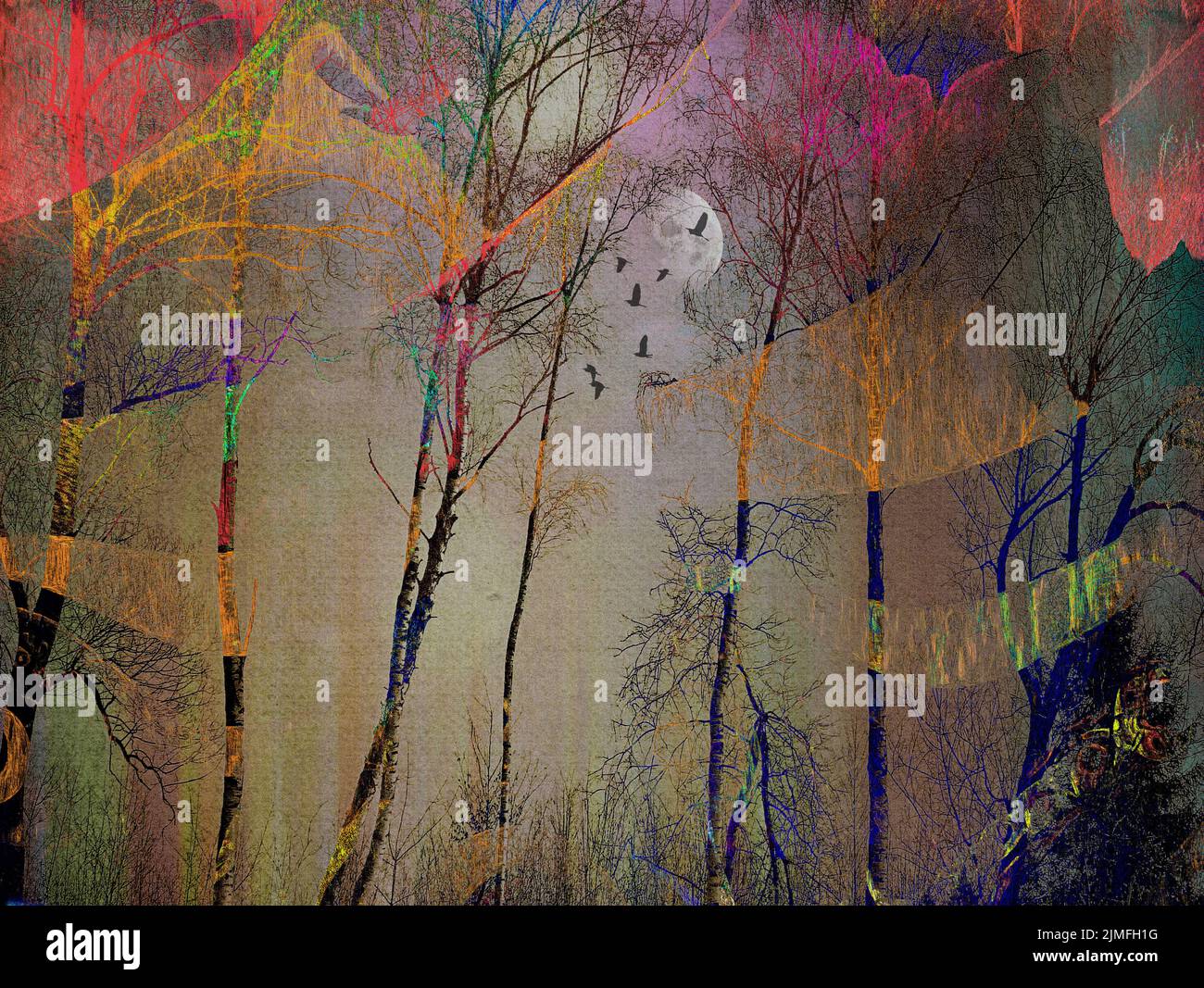 CONTEMPORARY ART: Der Zauberwald Stock Photo - Alamy