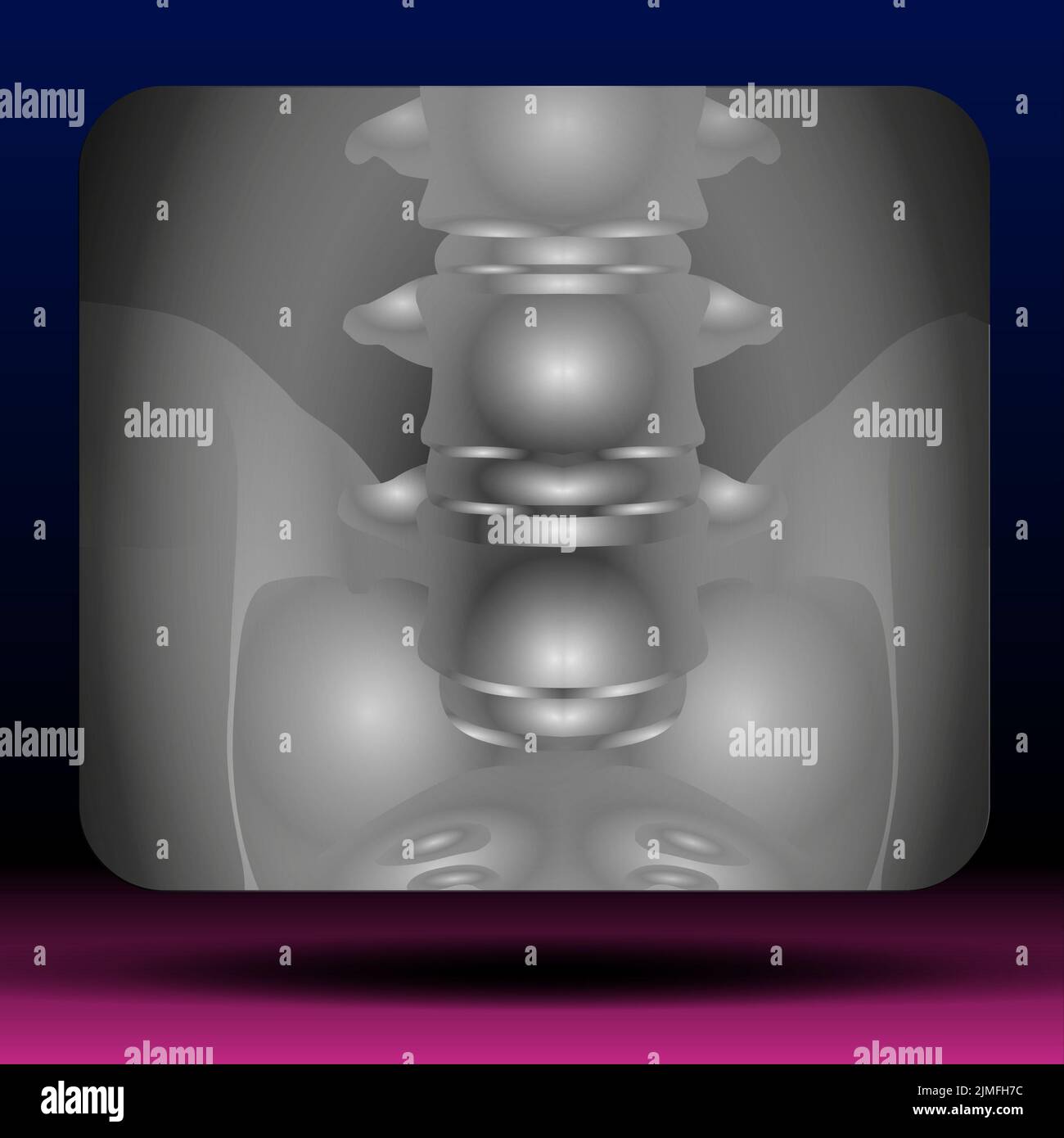 Lower body anatomy hi-res stock photography and images - Alamy