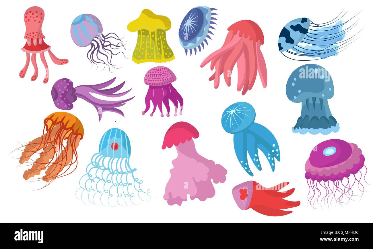Jellyfish cartoon isolated medusa and biology jelly fish. Purple marine set and water life ...