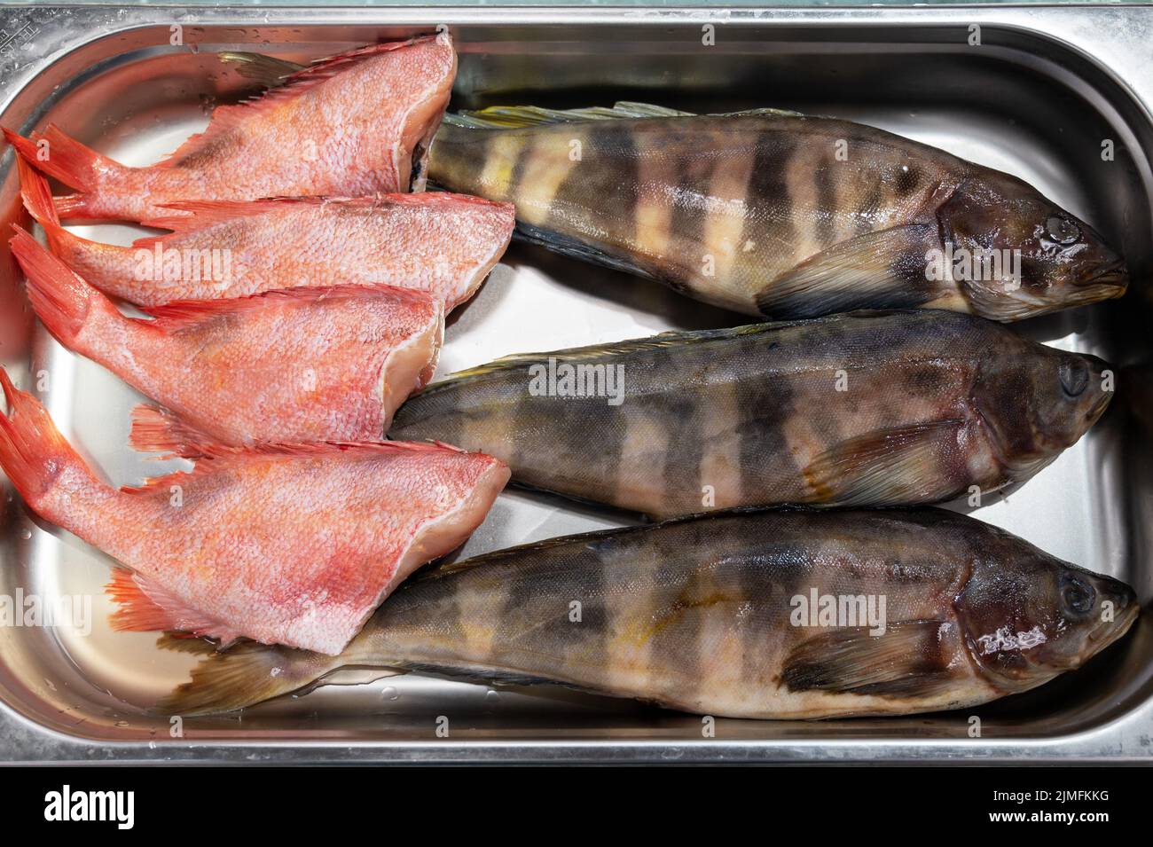 Fresh raw greenling fish and sea bass fish Stock Photo - Alamy