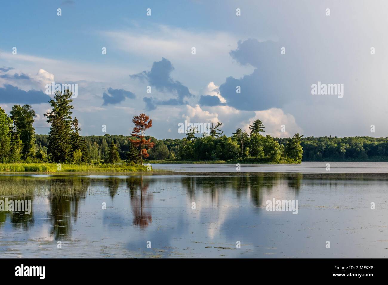 A beautiful overlooking view of nature in Tamarac NWR, Minnesota Stock ...