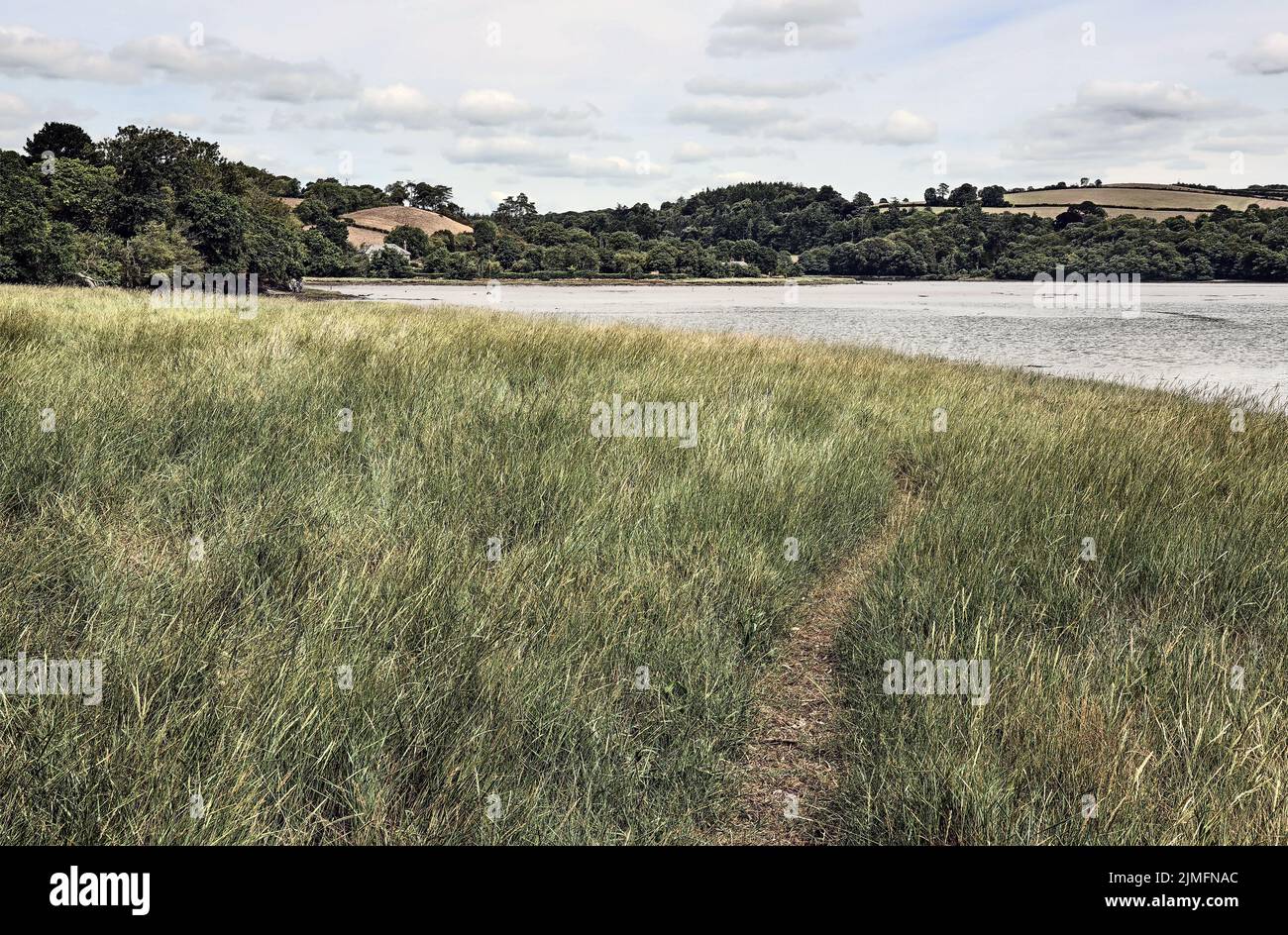 Photo illustration of A pathway through the long grass on the banks of ...