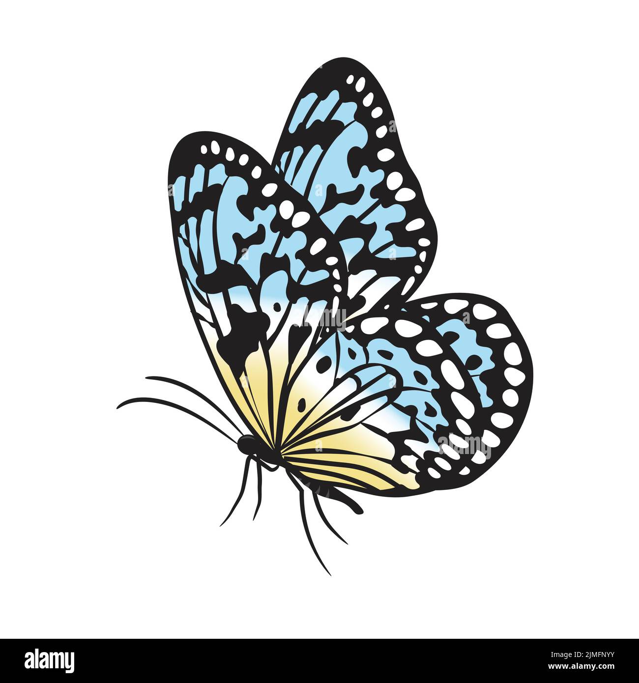 A Vector design of a blue monarch butterfly on a white background Stock ...