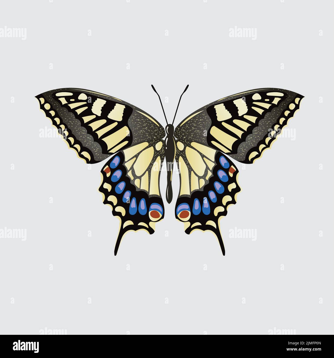 Detail of a wing of a monarch butterfly Stock Vector Images - Alamy