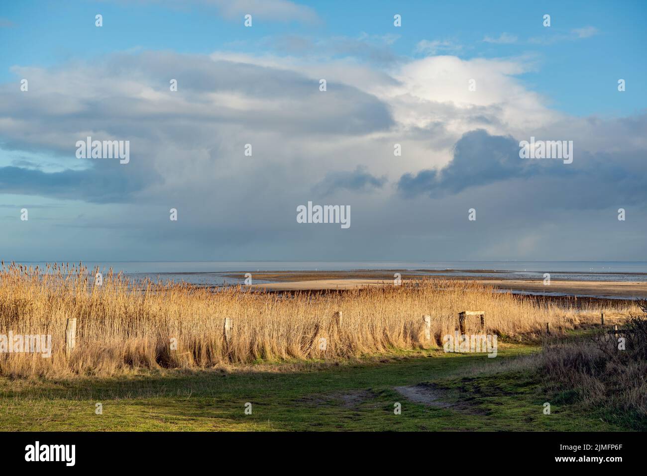 Wadden sea conservation area hi-res stock photography and images - Alamy