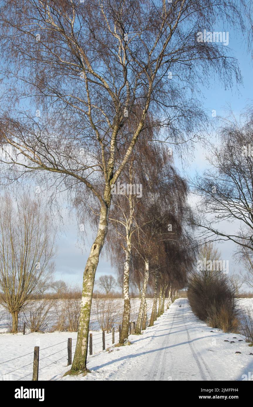 Winter in germany Stock Photo - Alamy