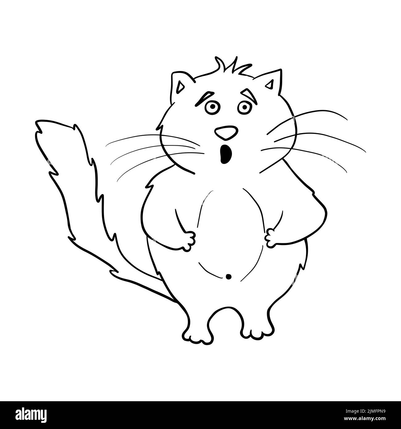 Cat. Funny fat doodle cat. Clipart. shocked cat Vector illustration of ...