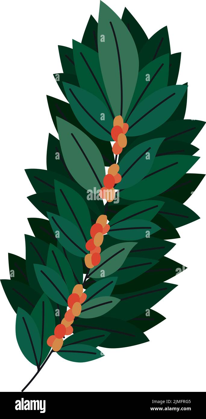 coffee plant illustration Stock Vector Image & Art - Alamy