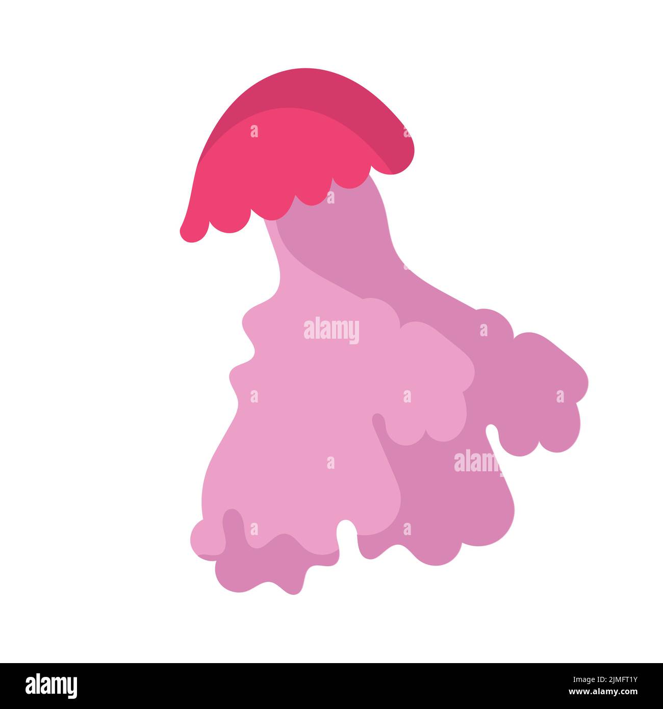 Jellyfish cartoon isolated medusa and biology jelly fish. Marine and water life animal vector ...