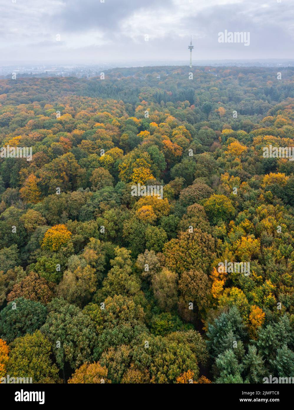 Forest bird's eye view hi-res stock photography and images - Alamy