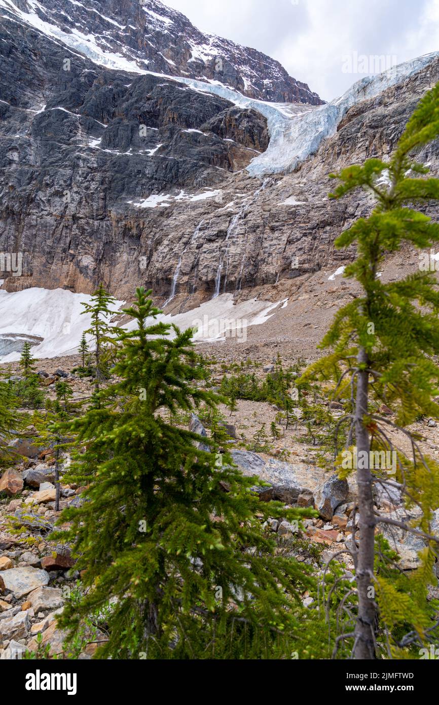 Angel Glacier and waterfalls along the Path of the Glacier Trail, Mt ...