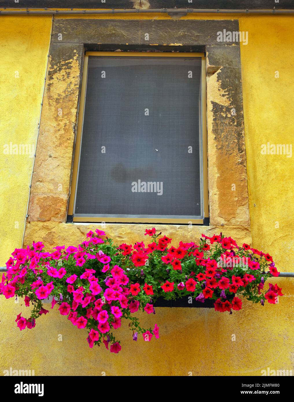 the village with the colorful houses Ghizzano tuscany Italy Stock Photo ...