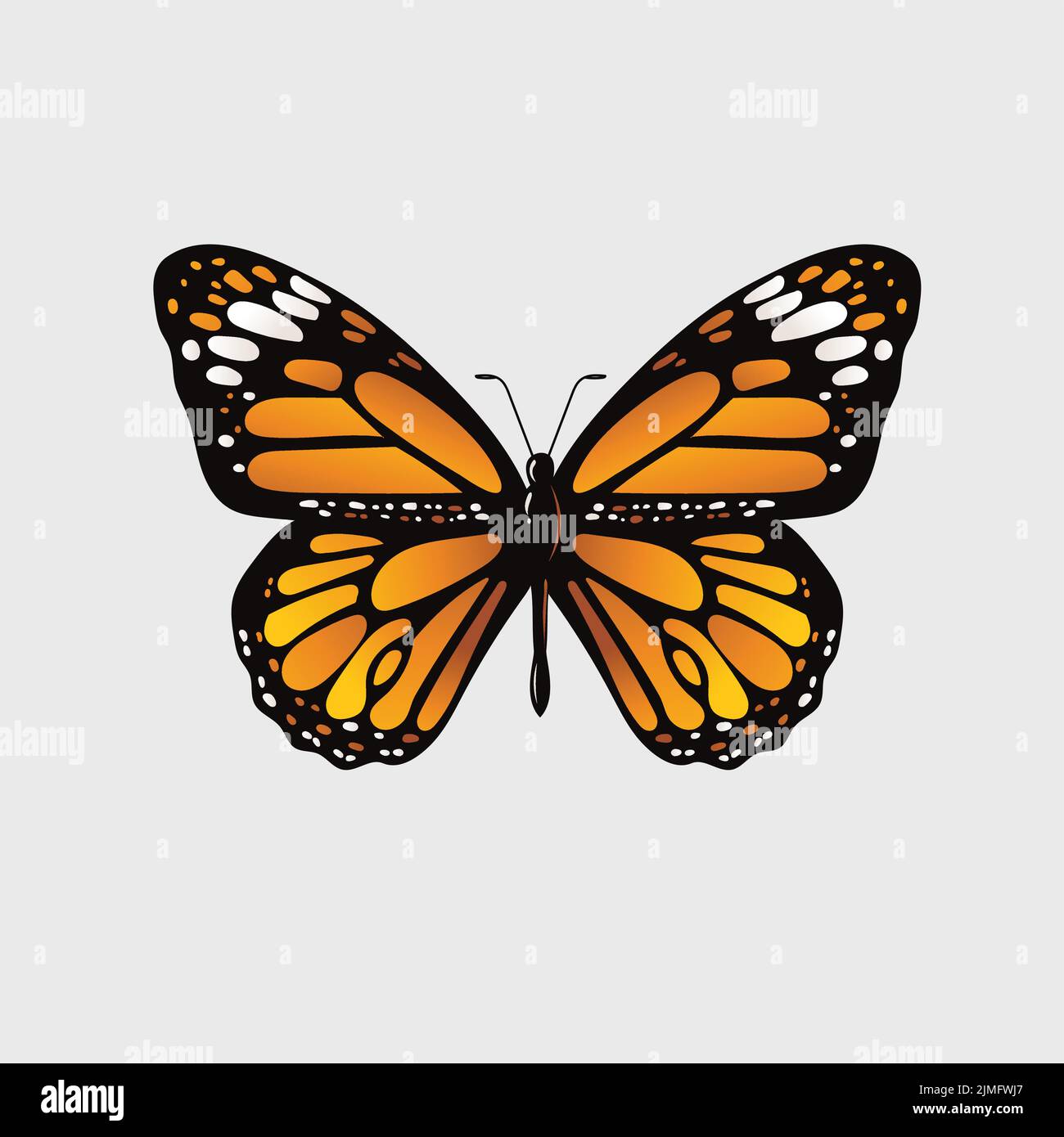 A vector design of an orange monarch butterfly on a white background ...