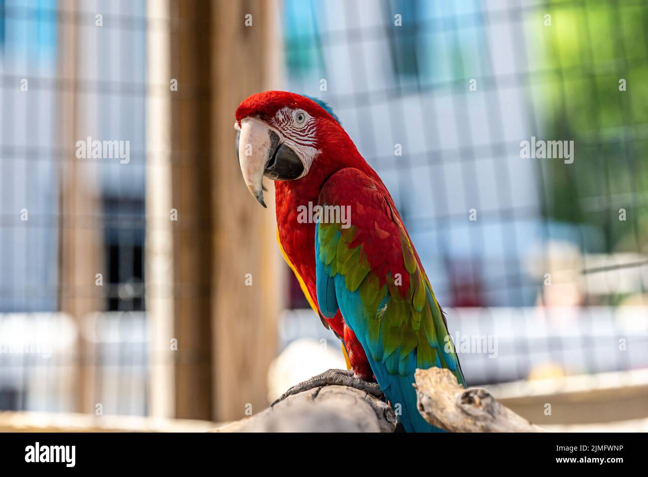 Hemker park zoo hi-res stock photography and images - Alamy