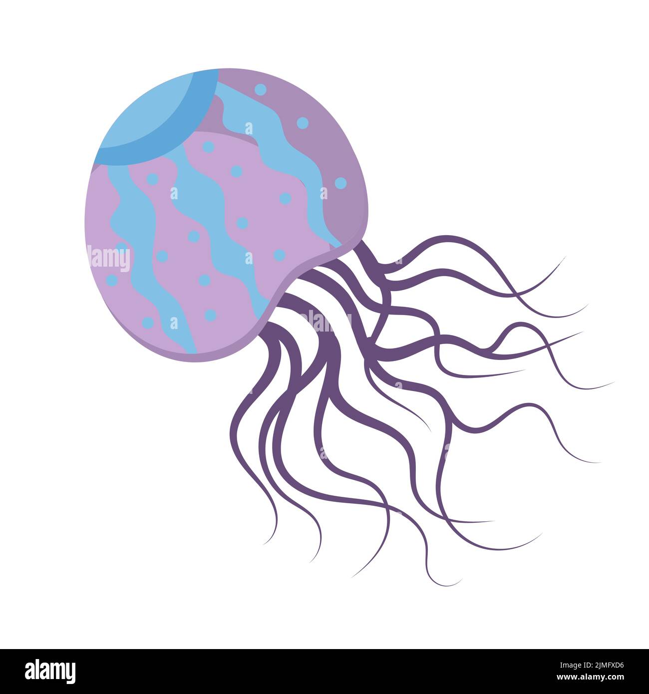 Jellyfish cartoon isolated medusa and biology jelly fish. Marine and water life animal vector ...