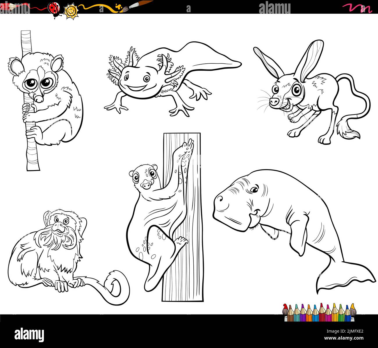 Funny cartoon animals characters set coloring book page Stock Photo - Alamy