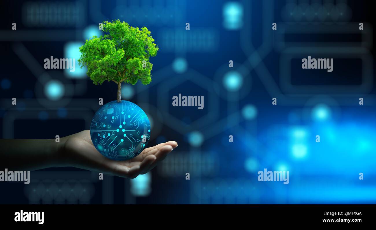 Man hand holding Tree on digital ball with technological convergence ...