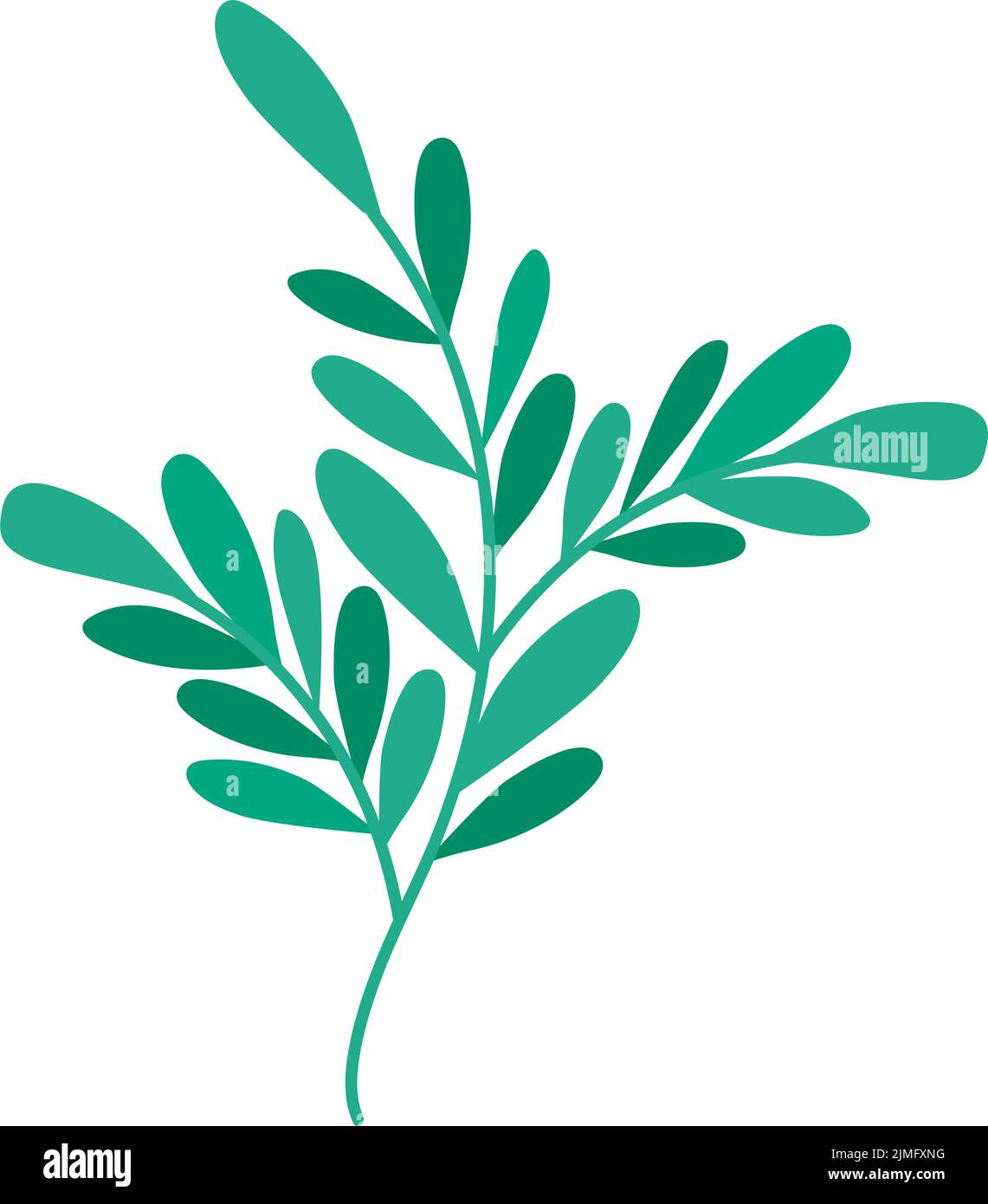 tree branch illustration Stock Vector Image & Art - Alamy