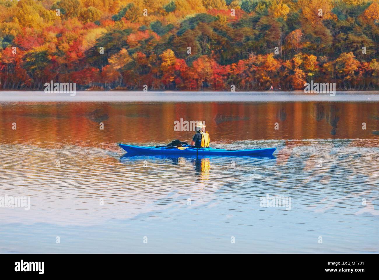Kayaking Burke Lake in Virginia, with fall foliage. A person, a man ...