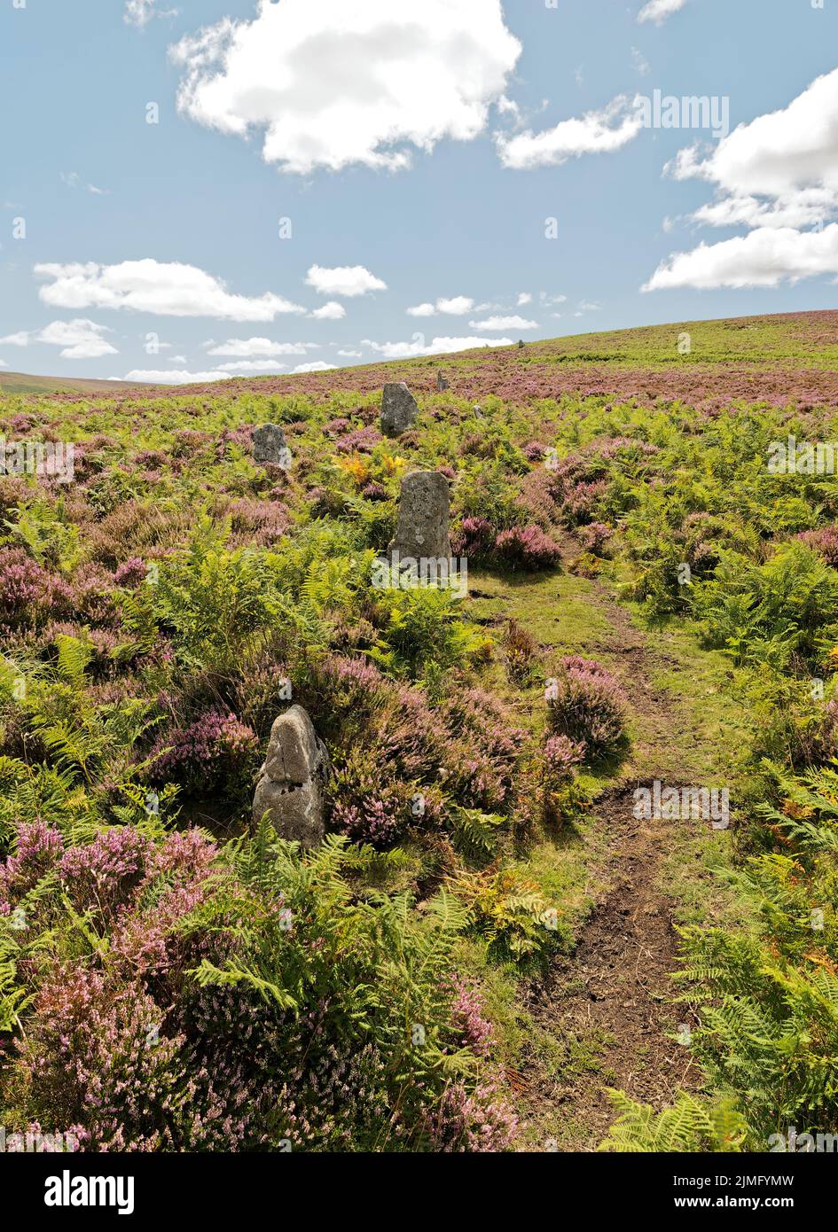 Stone row hi-res stock photography and images - Alamy