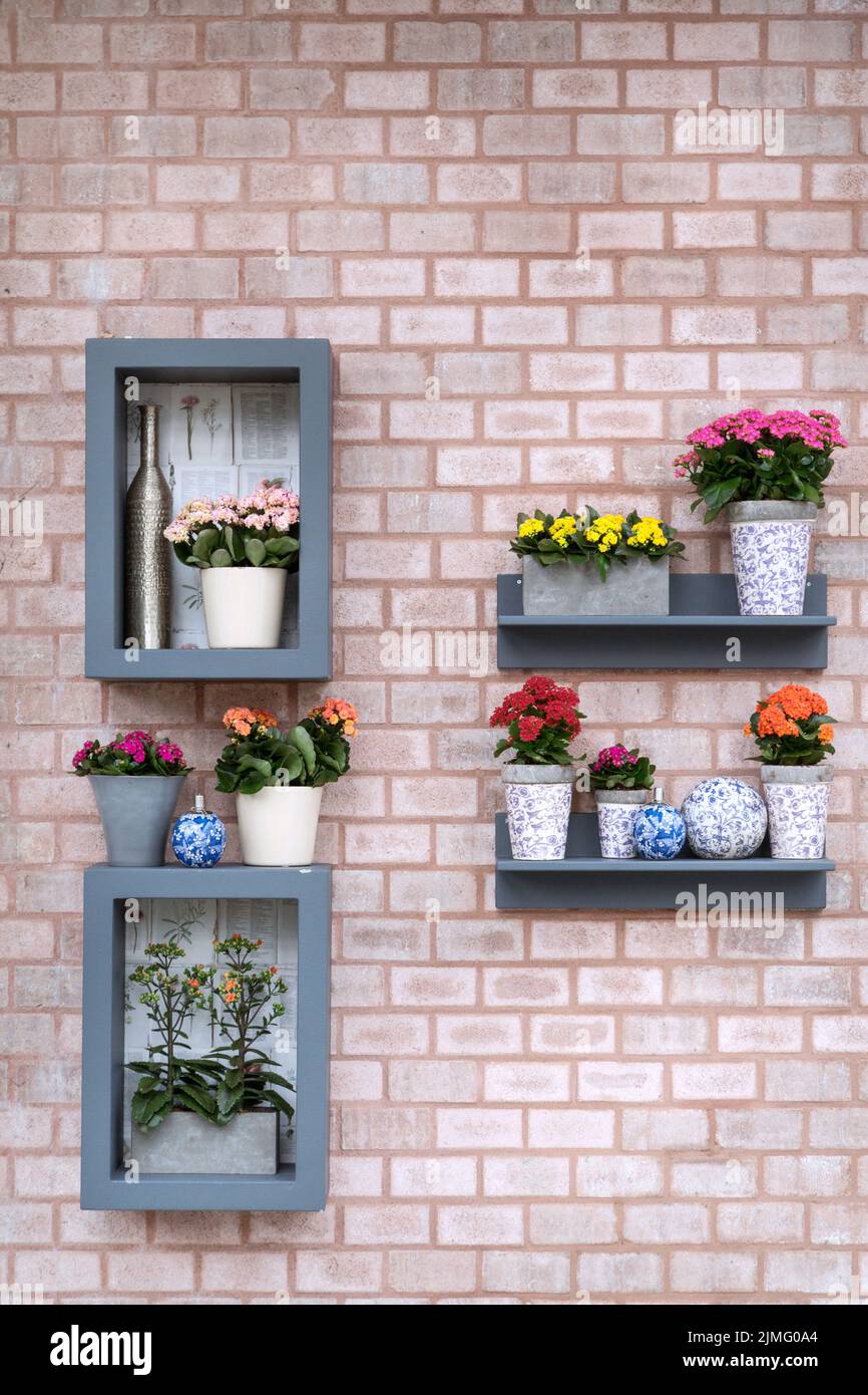 Beautiful flowers shelf on brick wall background Stock Photo - Alamy