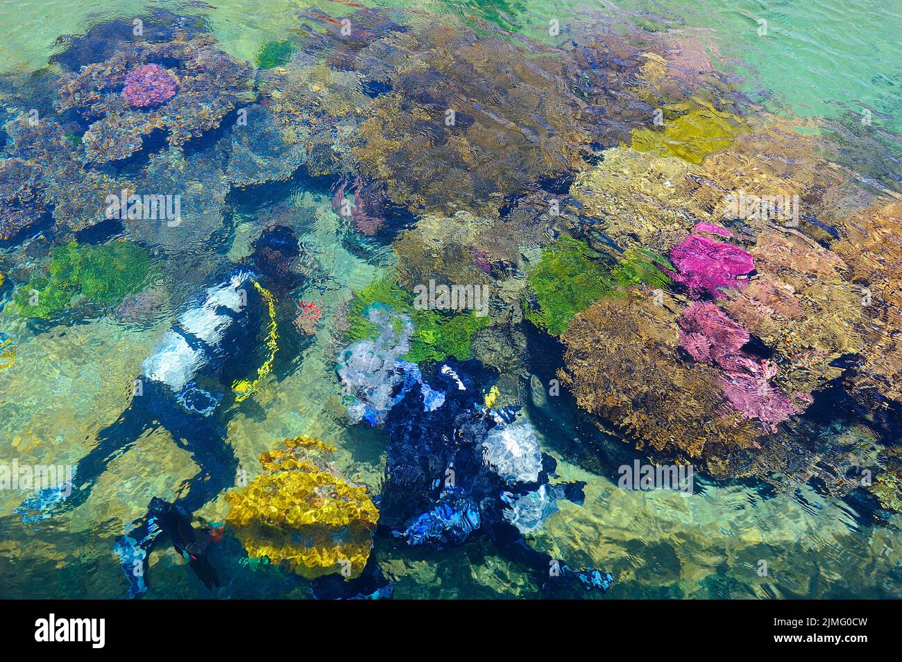 Underwater corals fish hi-res stock photography and images - Alamy