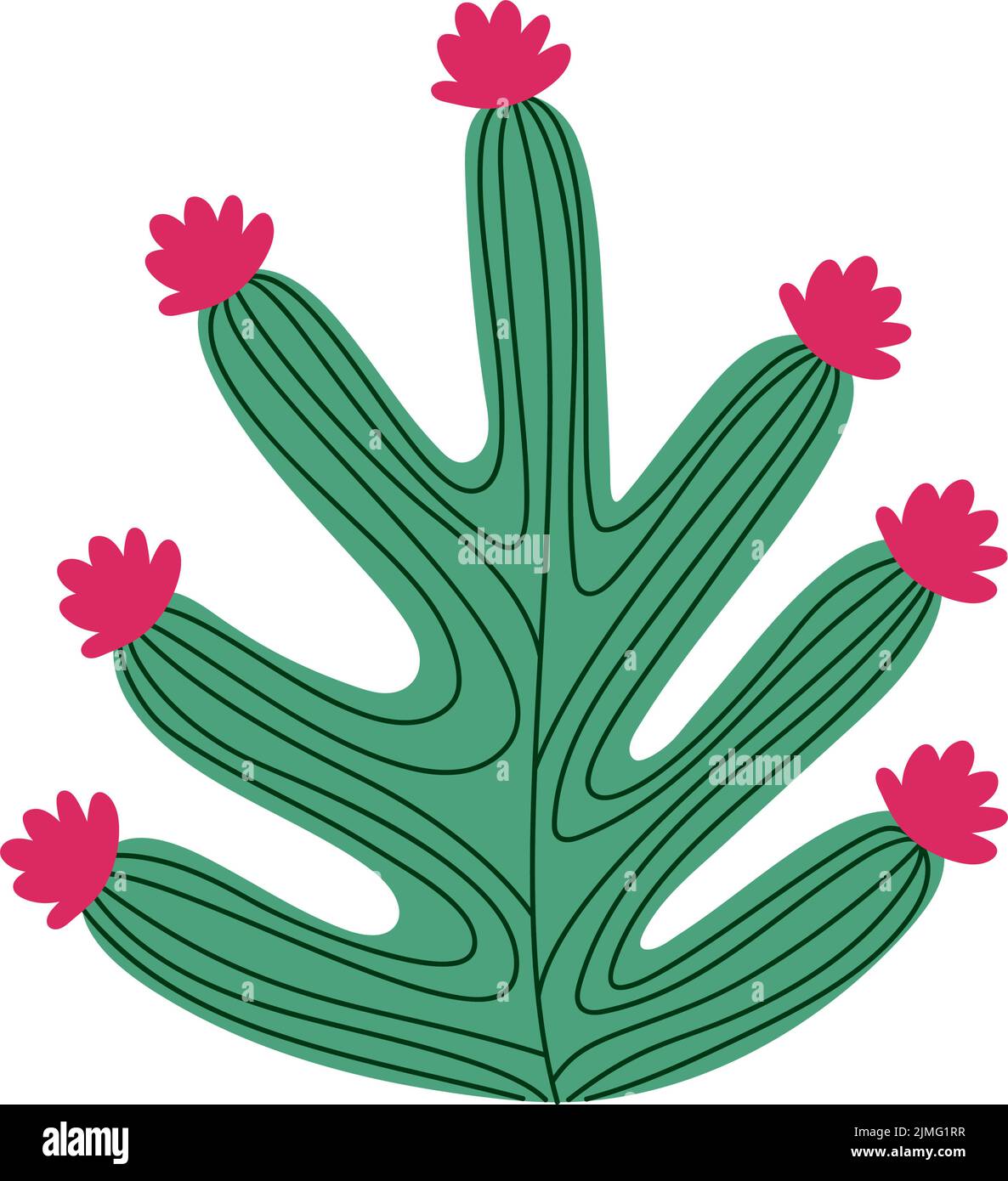 Red spine cactus Stock Vector Images - Alamy