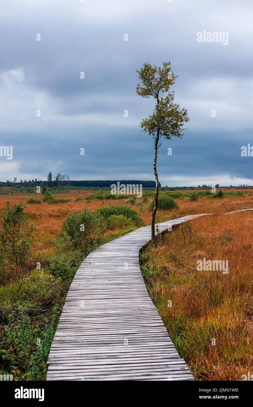 Moorland landscape of the High Fens in autumn Stock Photo - Alamy
