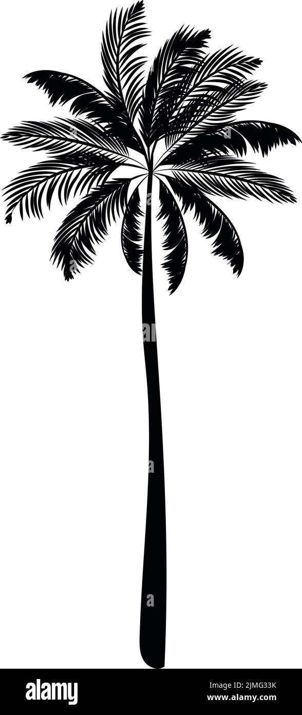 cute palm silhouette Stock Vector Image & Art - Alamy