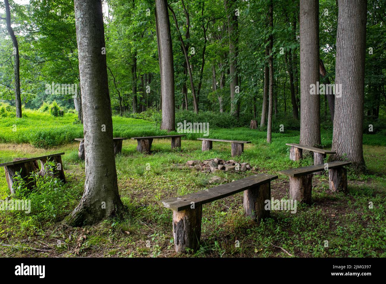Rustic empty benches around an idyllic woodland fire pit Stock Photo ...