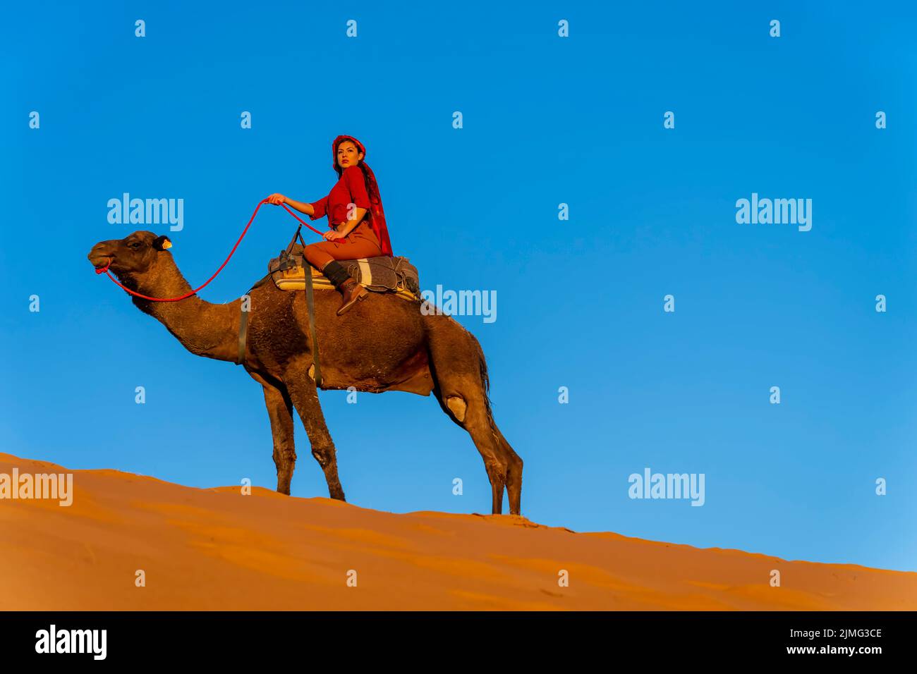 A Lovely Model Rides A Dromedary Camel Through The Saharan Desert On ...